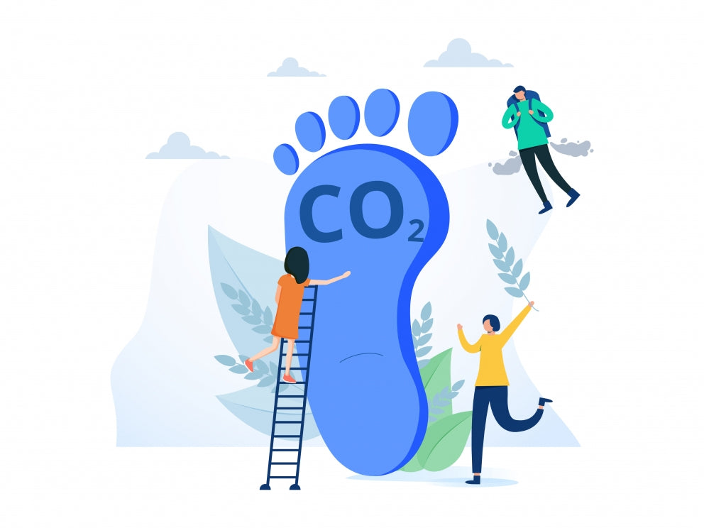12 Ways Businesses Can Reduce Their Carbon Footprint – Shredall SDS Group